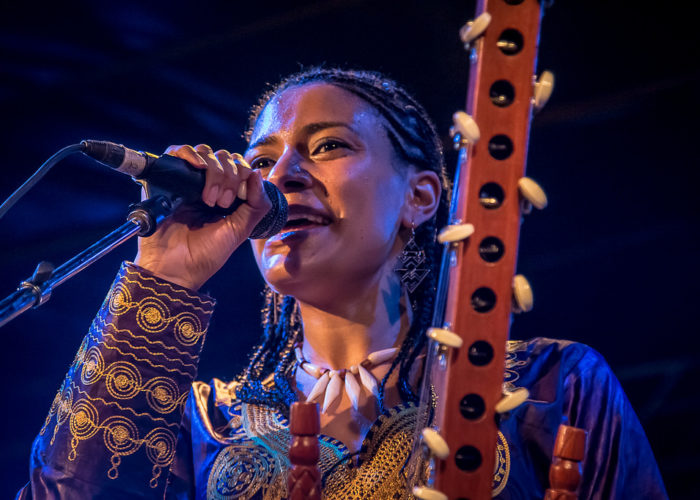 Meet Sona Jobarteh, The First Female Professional Kora Player