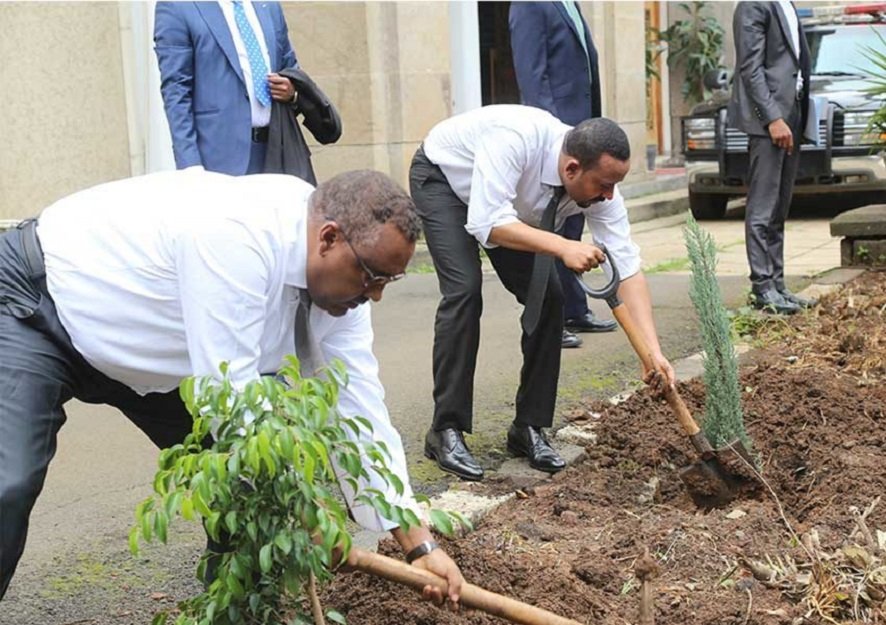Ethiopia plants world-record 350 million trees in a day, officials say